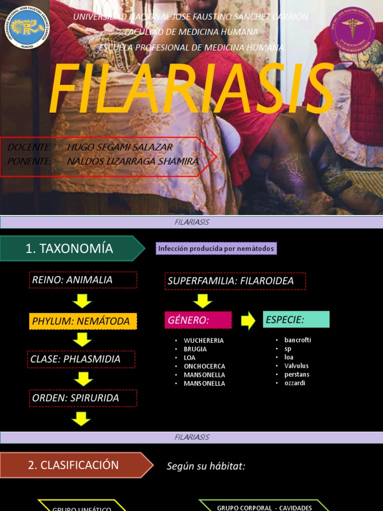 Tipos de filariasis y su epidemiología | PDF | Medicina CLINICA ...