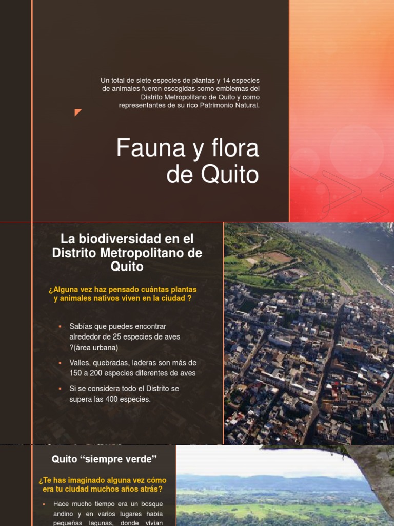 Biodiversidad de Quito: Flora y Fauna | PDF | Lepidópteros | Polinizadores