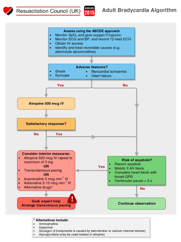 Adult Bradycardia Algoritma | PDF