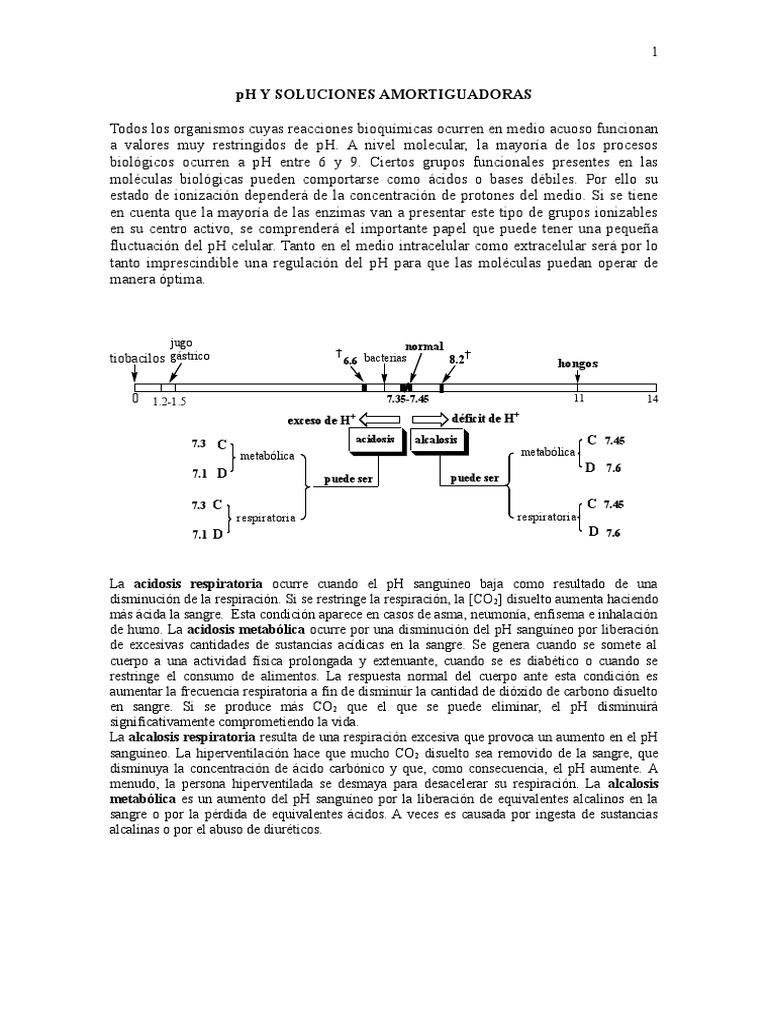 PH y Soluciones Amortiguadoras | PDF | Solución tampón | Constante de disociación ácida