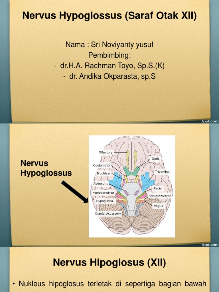 Gangguan dan Pemeriksaan Nervus XII | PDF | Kajian Bahasa Asing