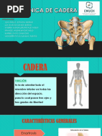 Articulación Coxofemoral Cuadro Integrador | PDF | Rodilla | Cadera