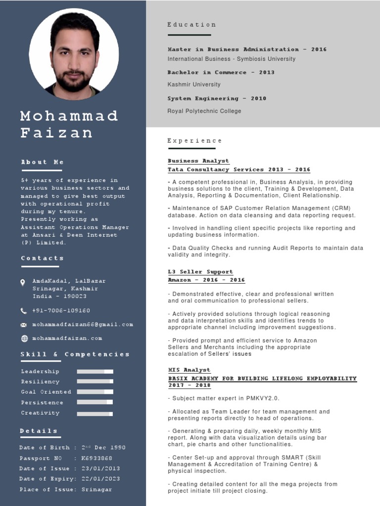 Faizan Resume (AM) PDF | PDF | Information Management | Information Technology Management