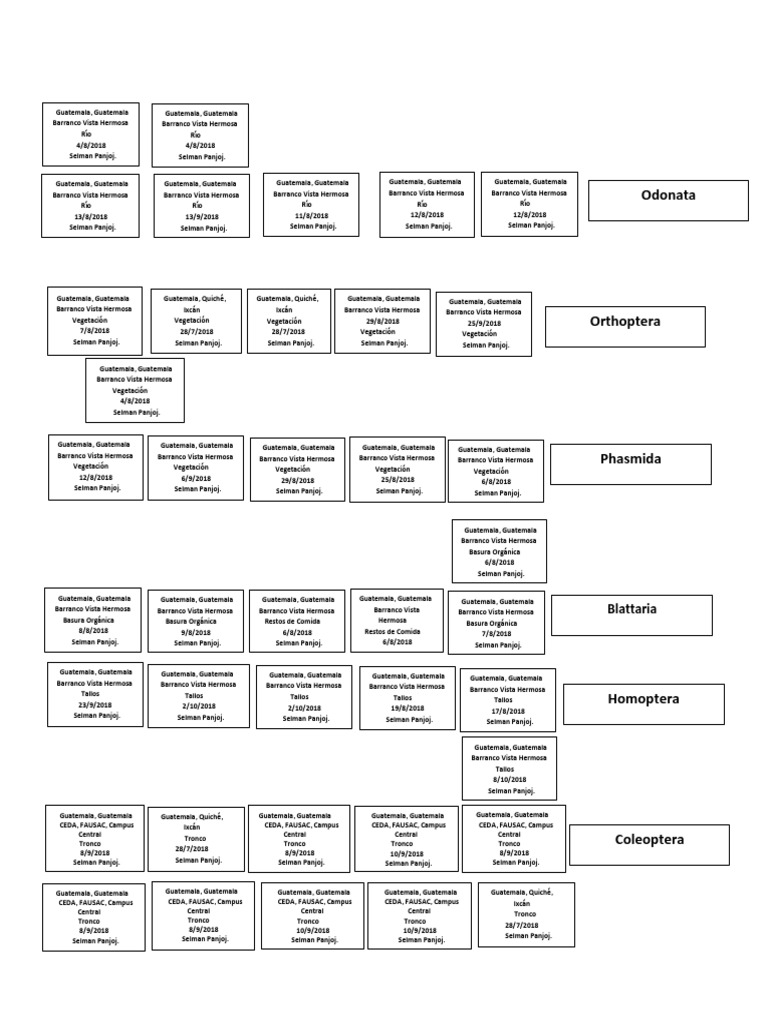 Etiquetas Para La Coleccion. | Taxonomía de insectos | Artrópodos
