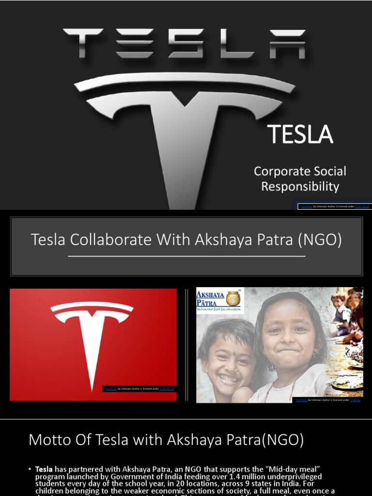 Tesla CSR | PDF | Energy And Resource | Nature