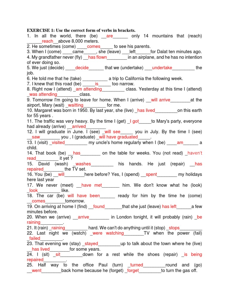 EXERCISE 1: Use The Correct Form of Verbs in Brackets | PDF