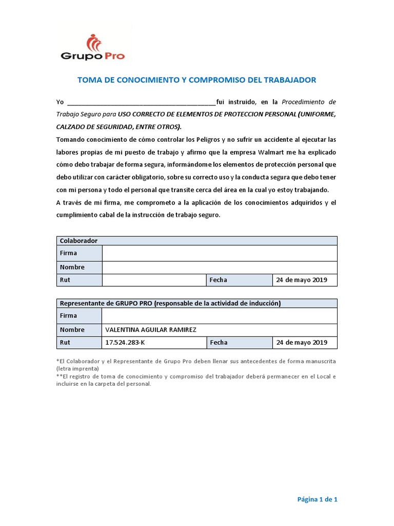 Toma de Conocimiento y Compromiso Del Trabajador Uso EPP | PDF