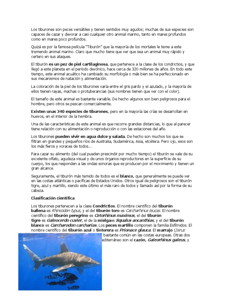 Los Tiburones Son Peces Versátiles y Tienen Sentidos Muy Agudos | PDF ...