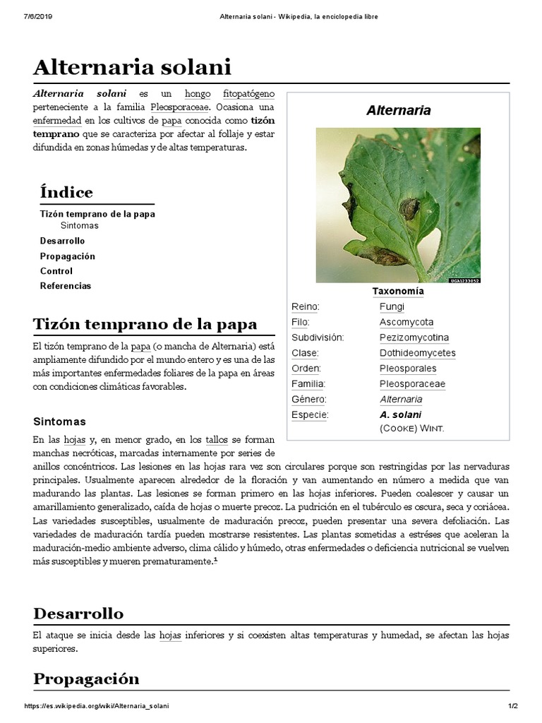 Alternaria Solani - Wikipedia, La Enciclopedia Libre | PDF | Plantas ...