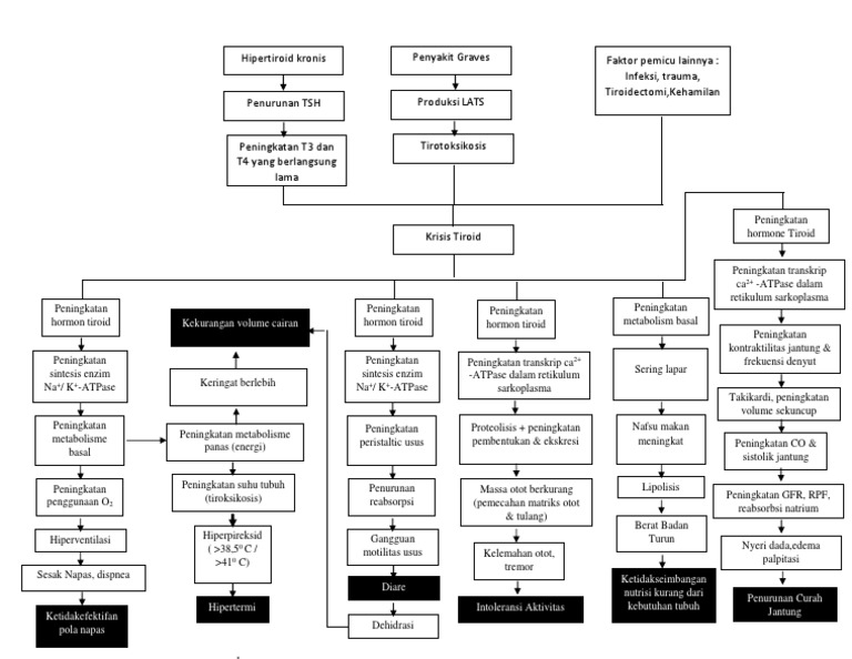 Peningkatan Metabolisme dan Efek Sistemik Hipertiroidisme Kronis | PDF