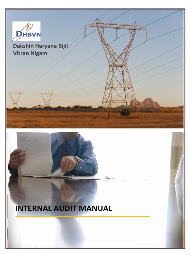 Internal Audit Manual | PDF | Internal Audit | Internal Control