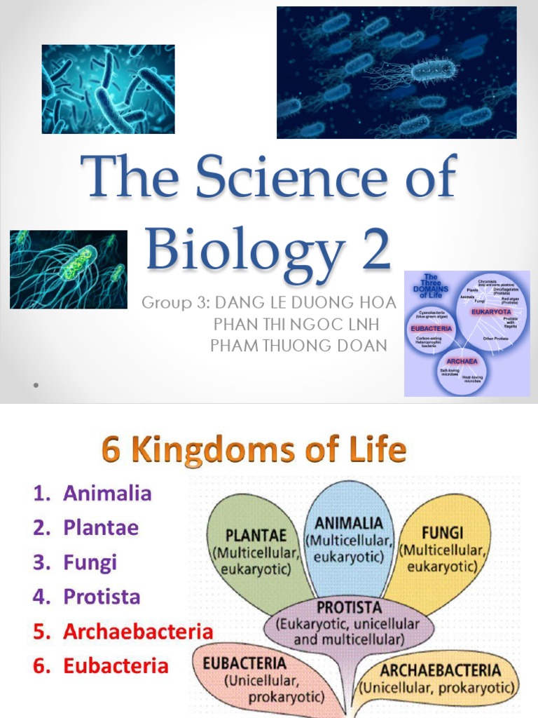The Science of Biology 2 | PDF | Eukaryotes | Chloroplast