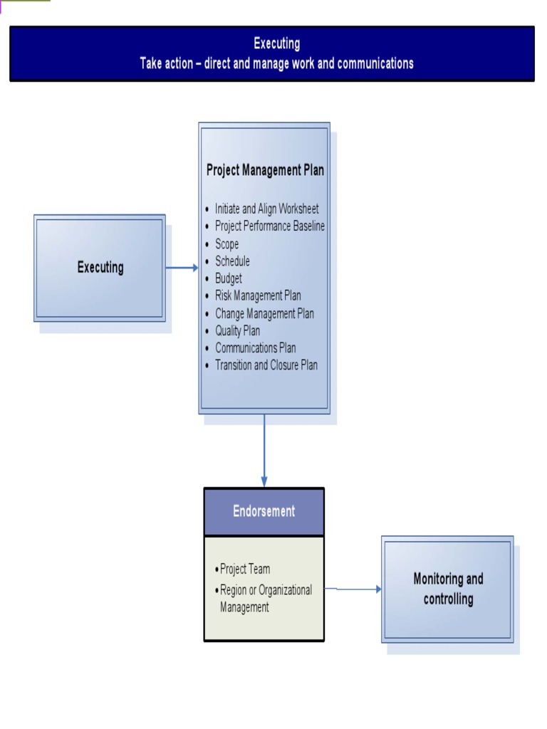 Project Management Plan: Executing Take Action - Direct and Manage Work ...
