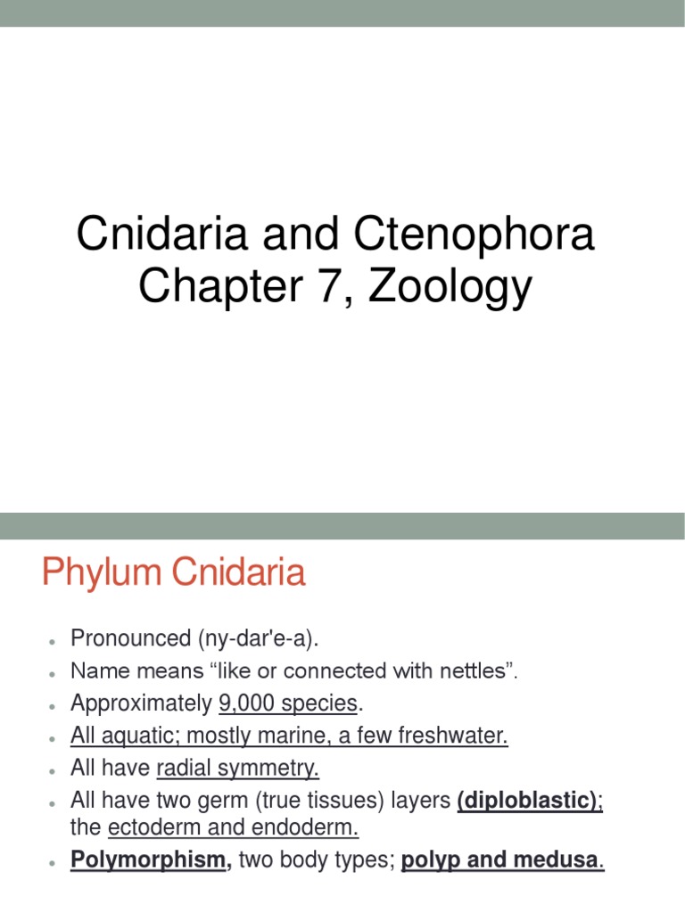 Cnidaria and Ctenophora Chapter 7, Zoology | PDF | Venomous Animals ...
