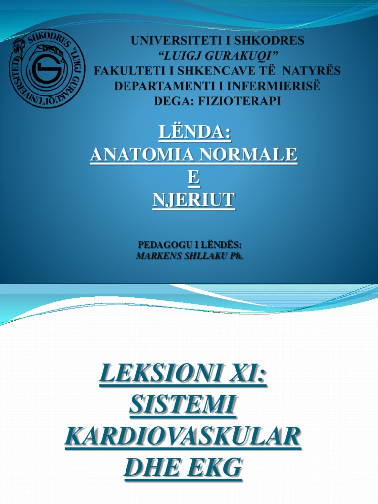 Sistemi Kardiovaskular | PDF