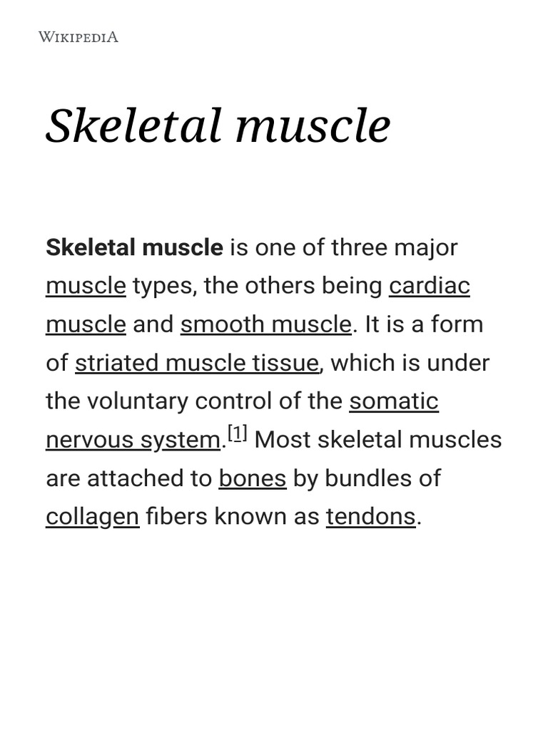 Skeletal Muscle - Wikipedia | PDF | Skeletal Muscle | Myocyte