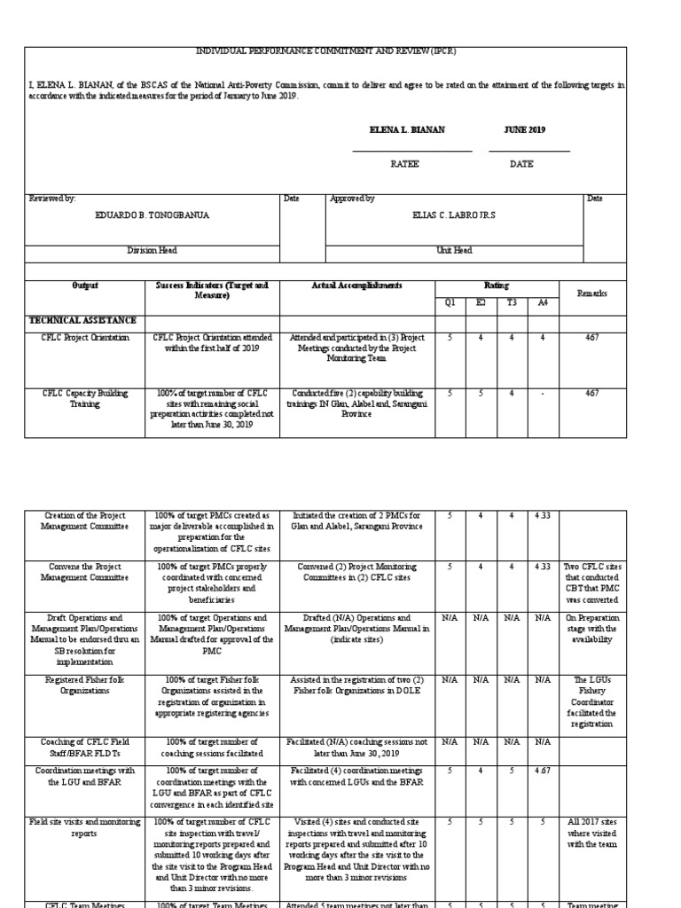 Performance Review for NAPC Staff | PDF | Government