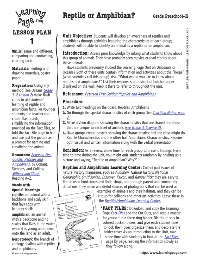 Reptile or Amphibian?: Lesson Plan | Download Free PDF | Turtle | Frog