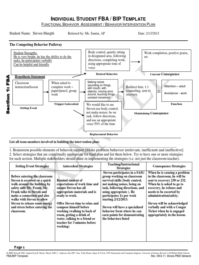 I S FBA / BIP T: Ndividual Tudent Emplate | PDF | Classroom | Teachers