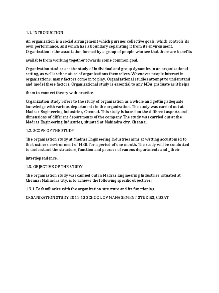 Organisational Study Report | PDF