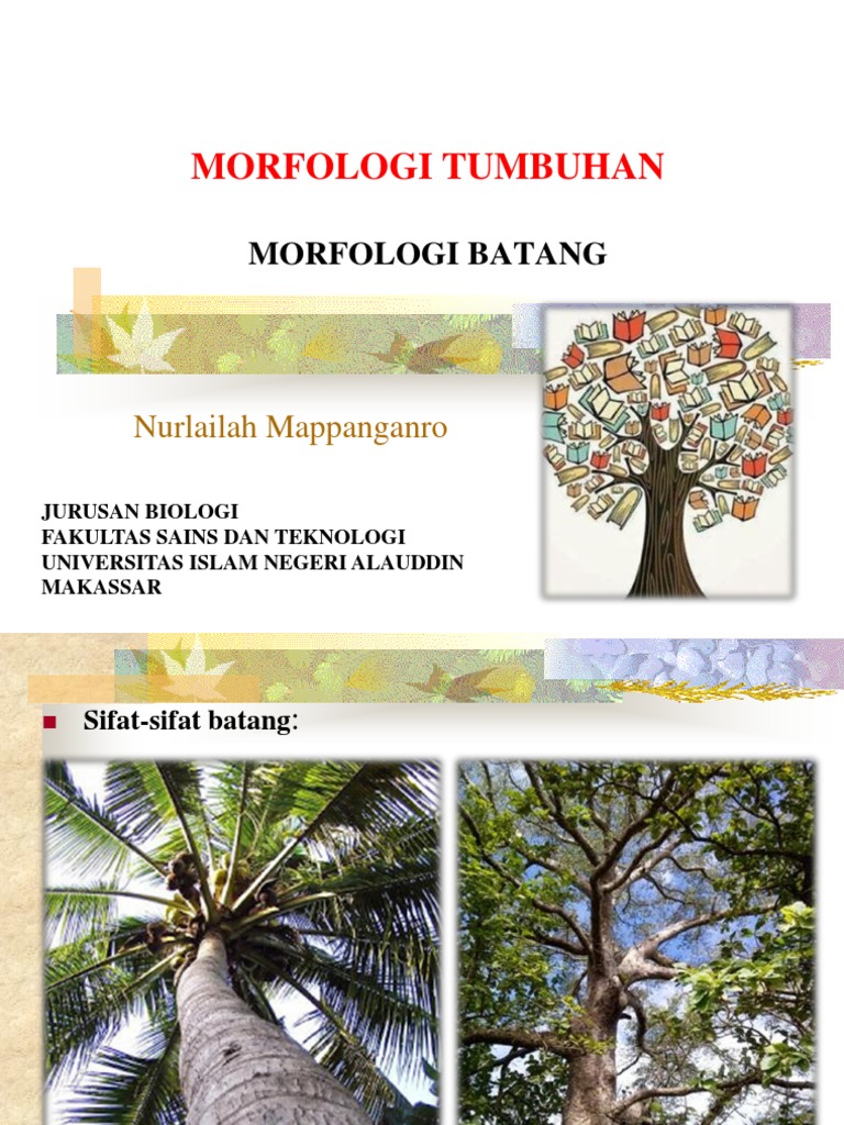 PowerPoint Morfologi Tumbuhan Morfologi Batang (IV) | PDF