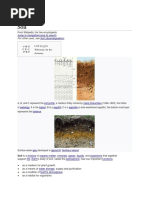 ASS101 Introduction To Soil Science-1-1 | PDF