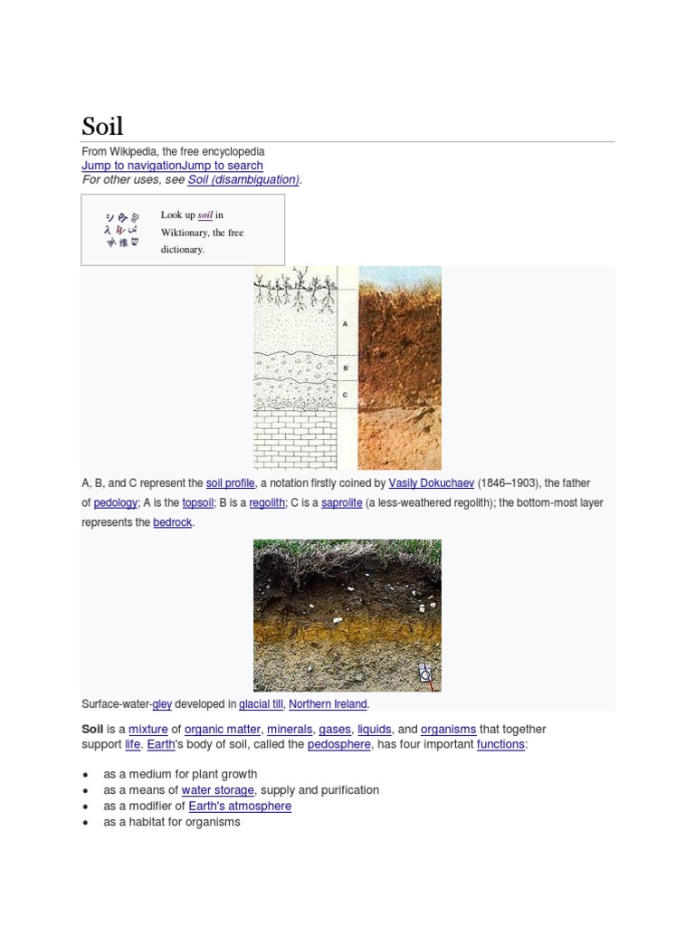 Soil Properties Test II | Download Free PDF | Weathering | Soil