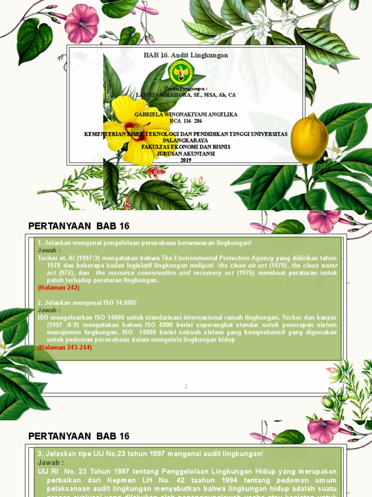 BAB 16 Internal Audit | PDF | Bisnis