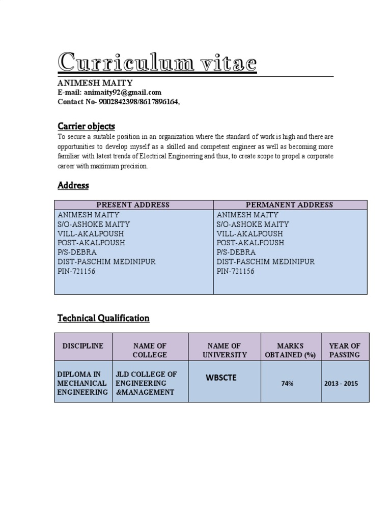 Curriculum Vitae: Carrier Objects | PDF | Vocational Education ...