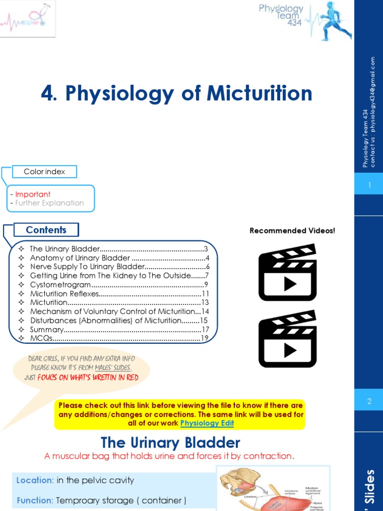 4.physiology of Micturition PDF | PDF | Urination | Urinary Bladder