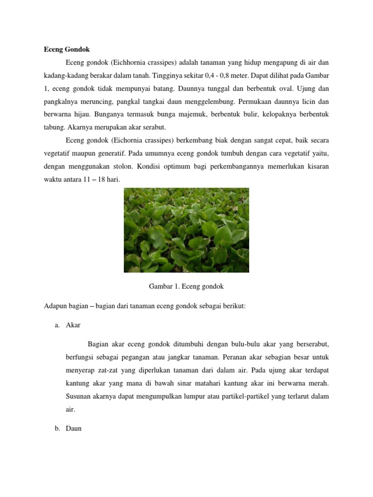 Eceng Gondok | PDF