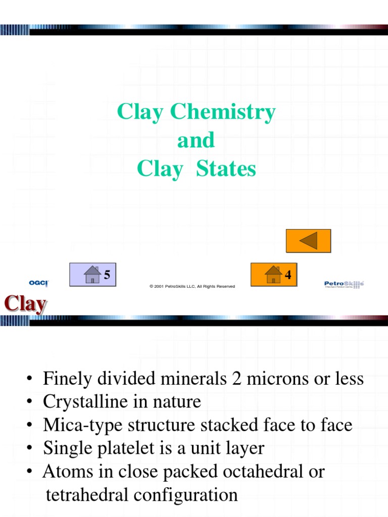 Clay Chemistry State | PDF | Clay Minerals | Minerals