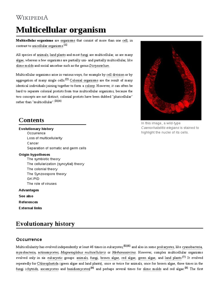 Multicellular Organism | PDF | Biological Evolution | Life Sciences