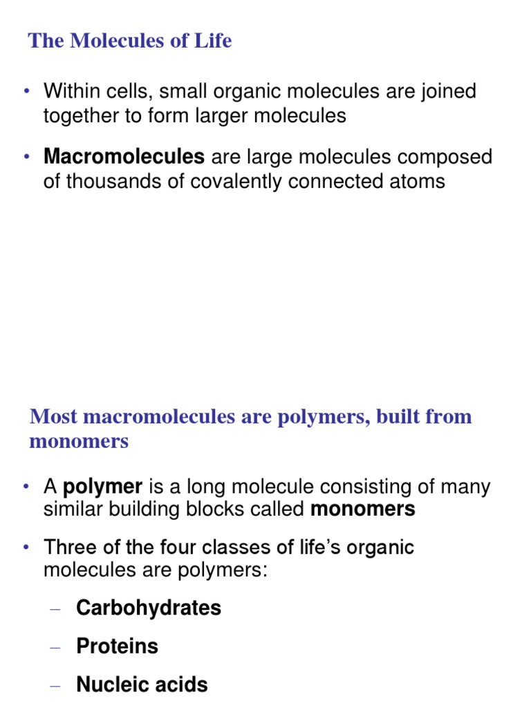 The Structure and Function of Macromolecules | PDF | Nucleotides ...