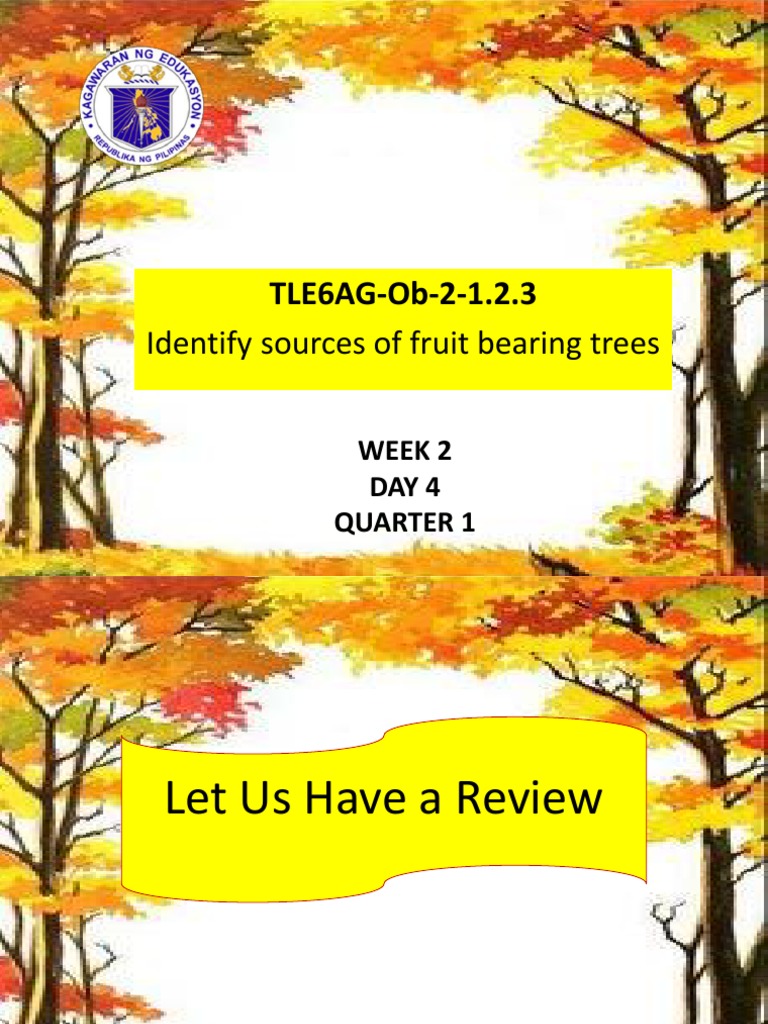 Identify Sources of Fruit Bearing Trees: TLE6AG-Ob-2-1.2.3 | PDF