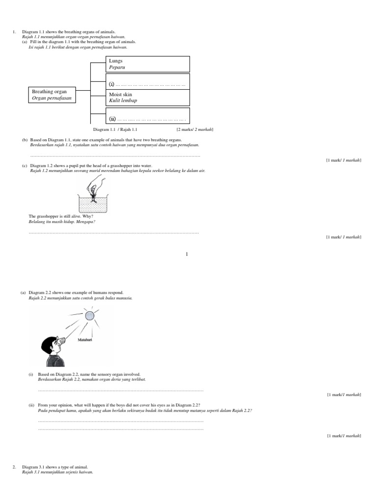 Science Year 4 Paper 2 | PDF | Nature