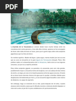 Leyenda Peruana Del Tunche | PDF | Novela negra, policíaca y suspenso