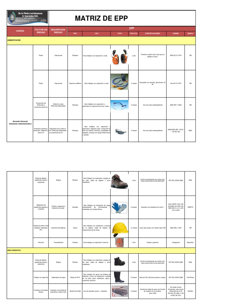 Matriz de EPP por Puesto de Trabajo | PDF | Naturaleza
