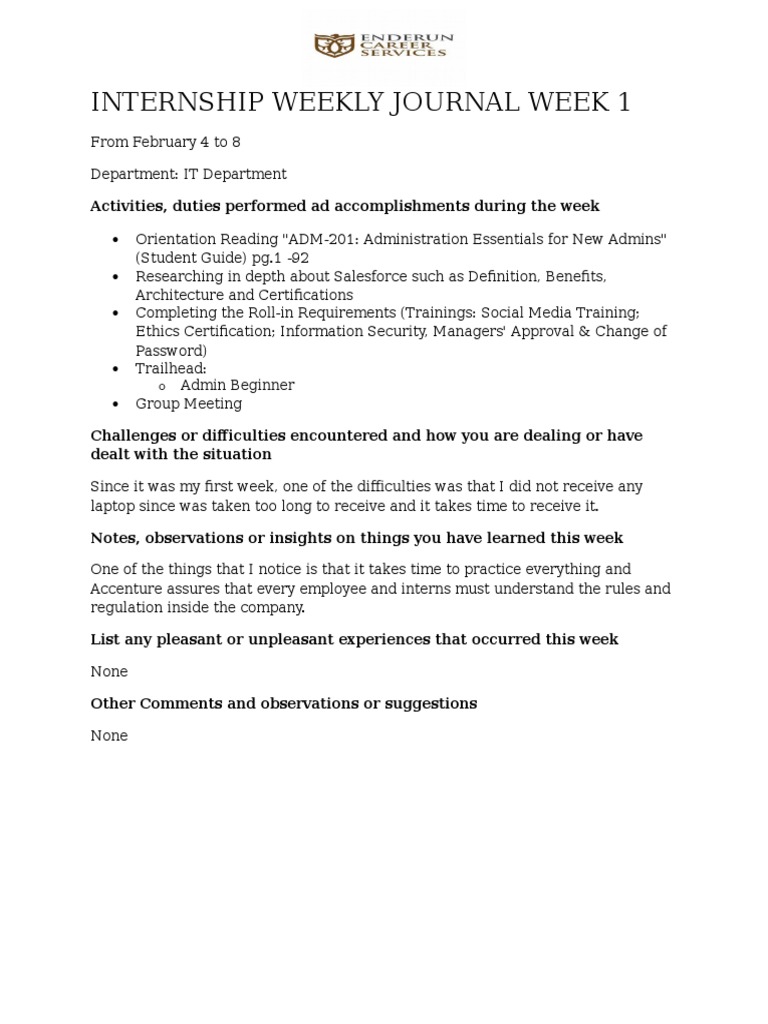Weekly Internship Journal Overview | PDF | Computing | Information ...