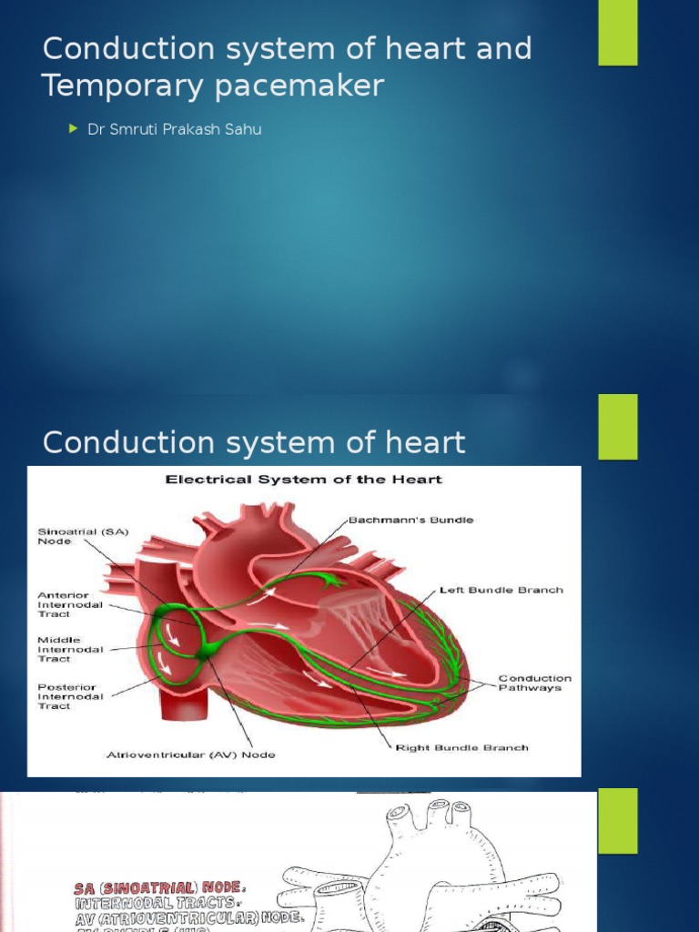 Conduction System of Heart and Temporary Pacemaker | PDF | Artificial ...