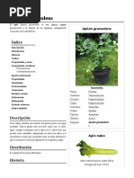 Sacha Culantro | PDF | Hierbas y especias | Alimentos