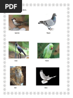 Green Bean Plant Life Cycle Montessori Nomenclature Cards Free ...