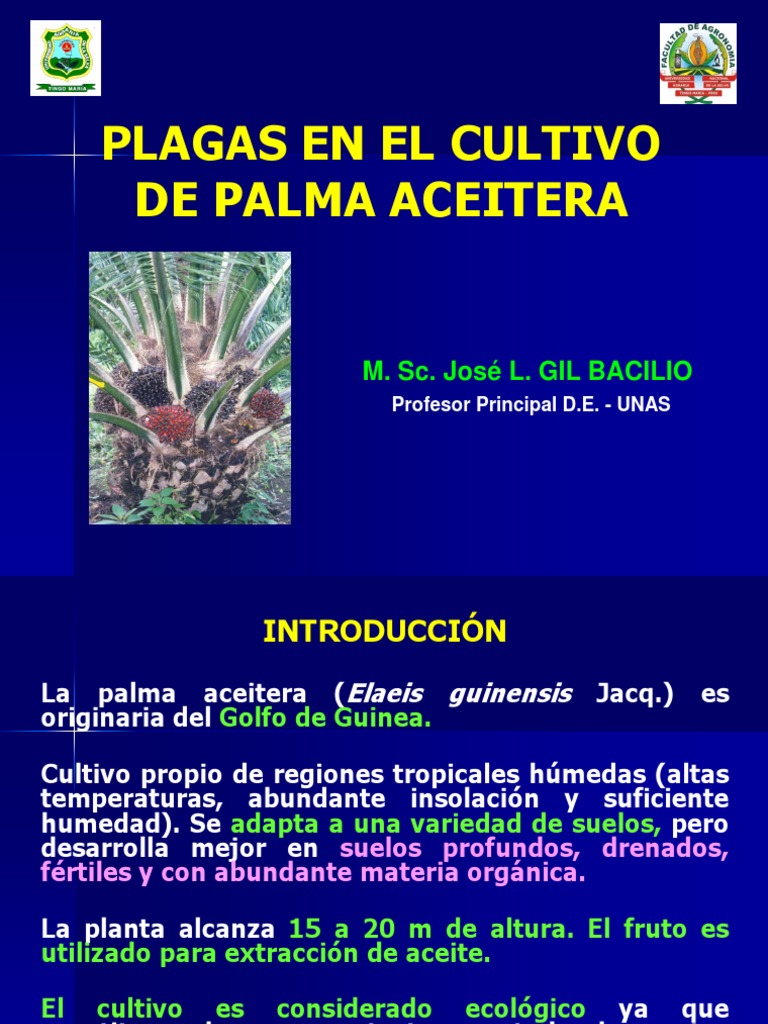 Plagas en Palma Aceitera: Guía Esencial | PDF | Insectos beneficiosos ...