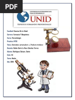 CDC - DPDX - Enterobiasis | PDF | Sistema digestivo | Parasitología