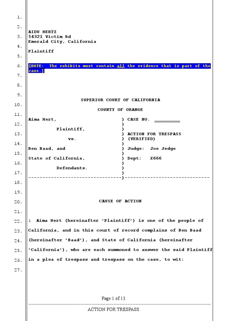 Action Suit Format | PDF | Vicarious Liability | Lawsuit