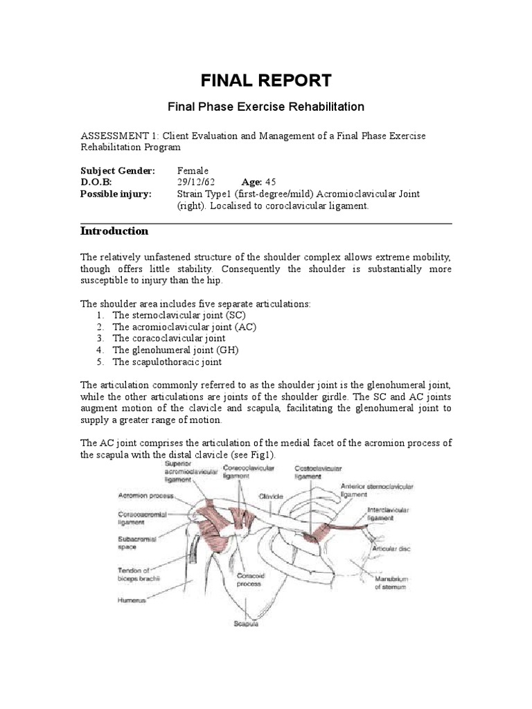 Final Phase Exercise Rehabilitation Program for a Female Client with a ...