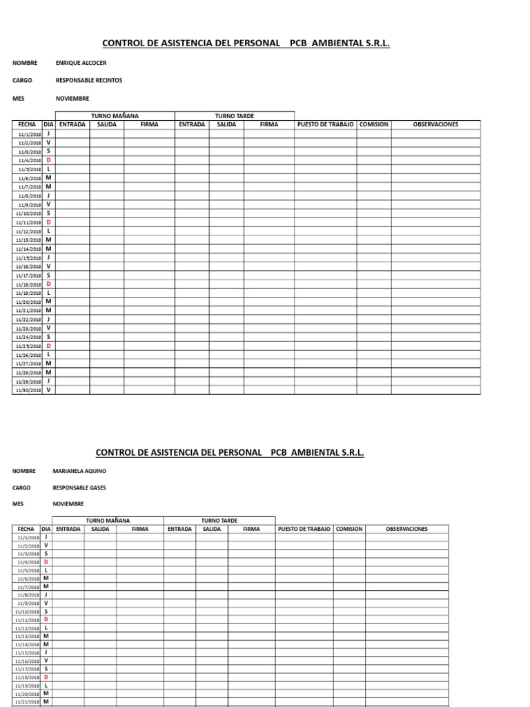Control de Personal | PDF