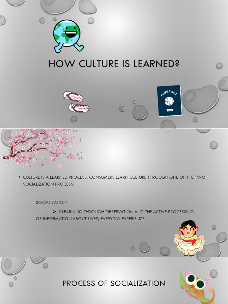 How Culture Is Learned | PDF | Socialization | Learning