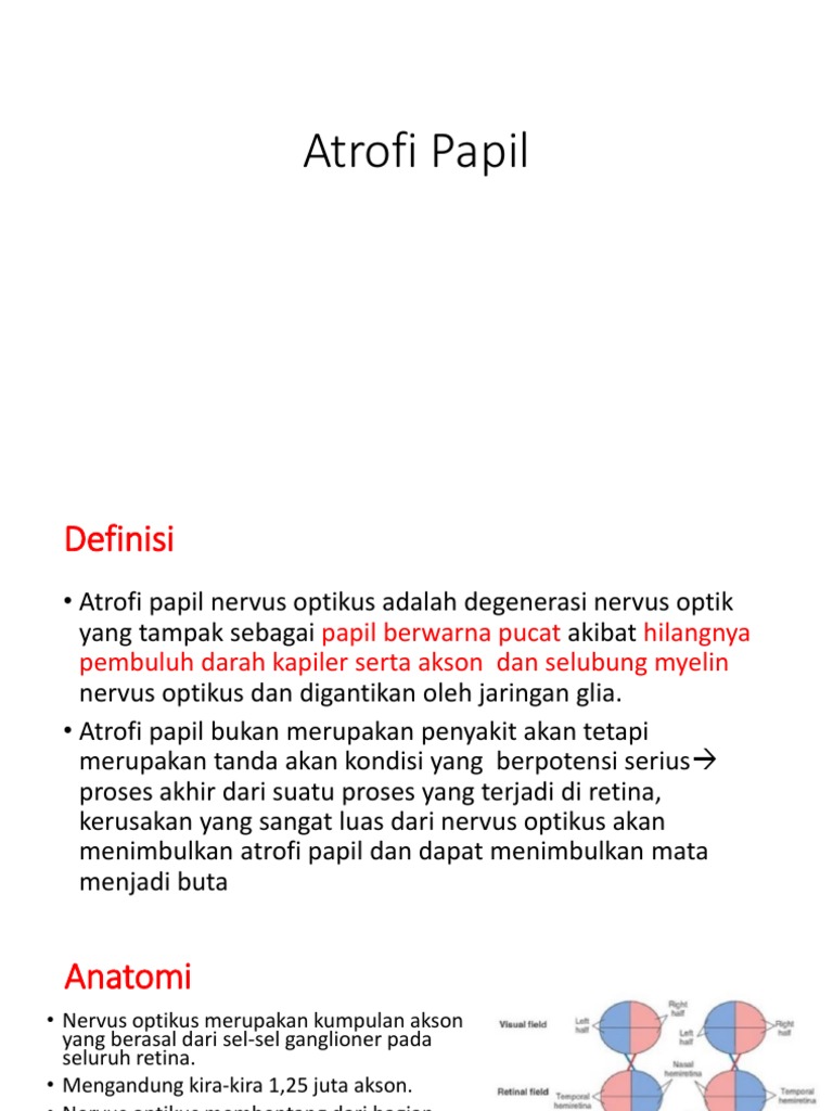 Atrofi Papil | PDF | Pengembangan Diri
