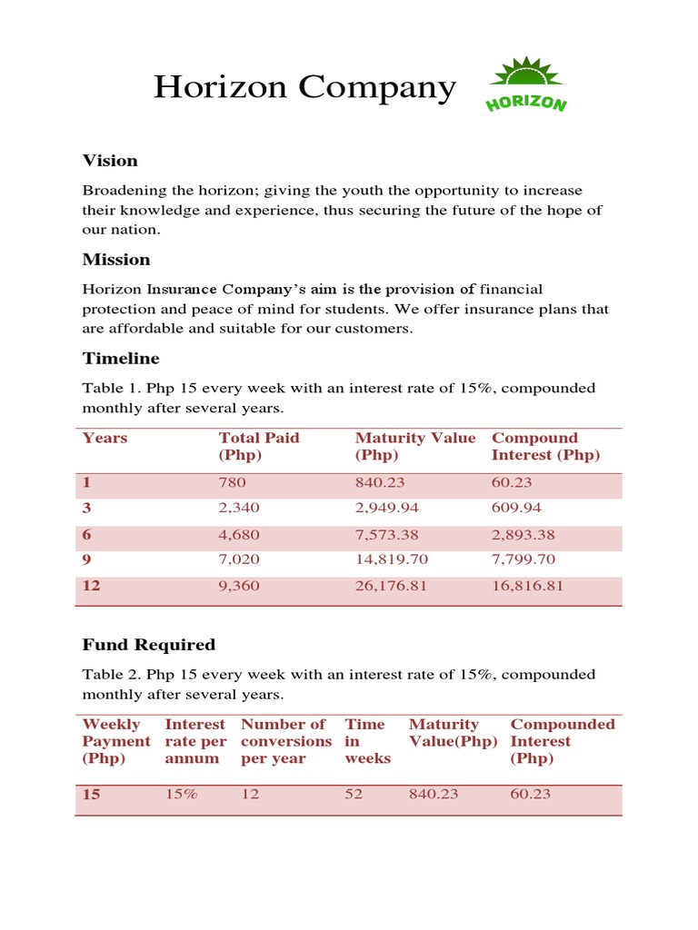 Horizon Company | PDF